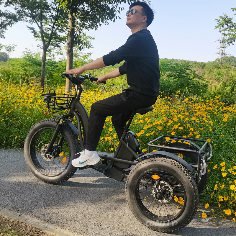 TRAVELLER24 Most Popular Adults Powered Tricycles 48V 750W 1000W 24AH ...