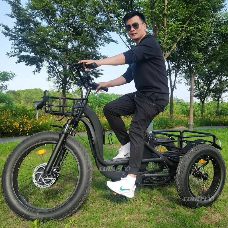 TRAVELLER24 Most Popular Adults Powered Tricycles 48V 750W 1000W 24AH ...