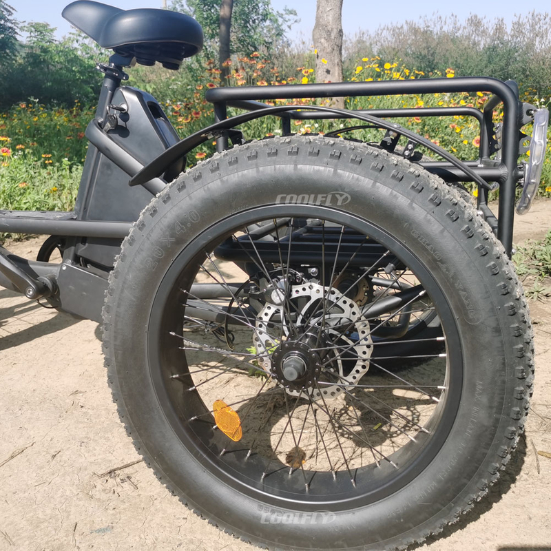 TRAVELLER24 Most Popular Adults Powered Tricycles 48V 750W 1000W 24AH ...